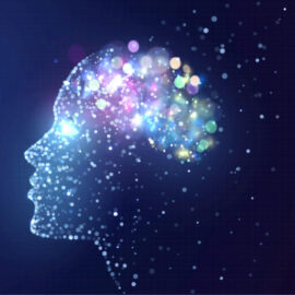 Theories of Consciousness - Science of Consciousness